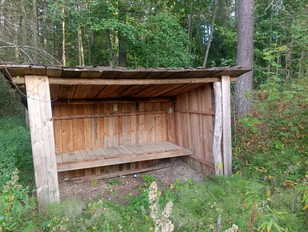 Piknik alanı Место для пикника, Kostromskaya oblastı, foto