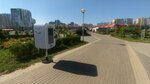 Фотобудка (Penzenskiy Municipal District, Zasechny selsovet, Village of Zasechnoe, Lazurnaya Street), fotoğraf kabini  Penzenskaya oblastından