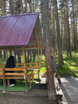 EDELWEISS BOROVOE (No:5Б, selo Katarkol), yaz kampı  Akmola eyaletinden