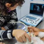 Vetpuls Veteriner Kliniği (Malatya, Yeşilyurt, Cemalgürsel Mah., İsmet Paşa Cad., 121C), veteriner klinikleri  Malatya'dan