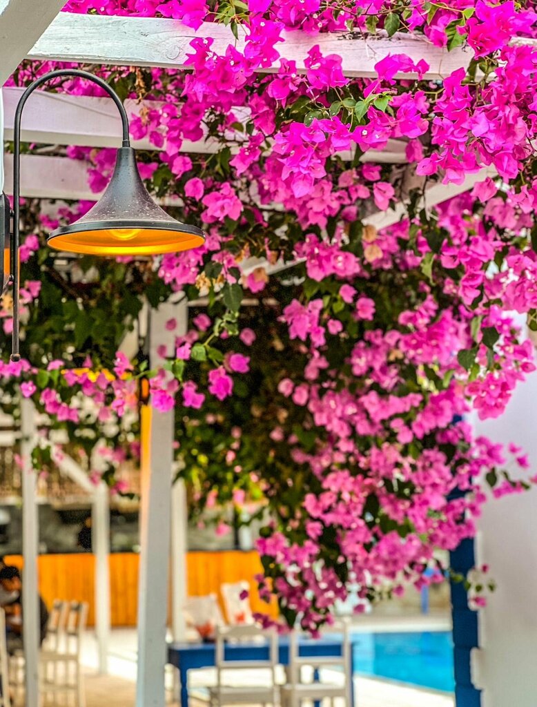 Otel Yazici Apart, Marmaris, foto