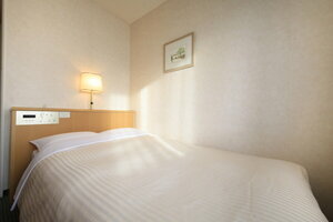 Kofu Washington Hotel Plaza (Yamanashi Prefecture, Kofu), otel  Kofu'dan