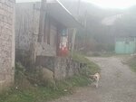 Food (Lori Region, Shahumyan village), market  Lori'nden