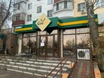 GazOil (Republic Avenue No:65), petrol ve gaz firması  Temirtav'dan