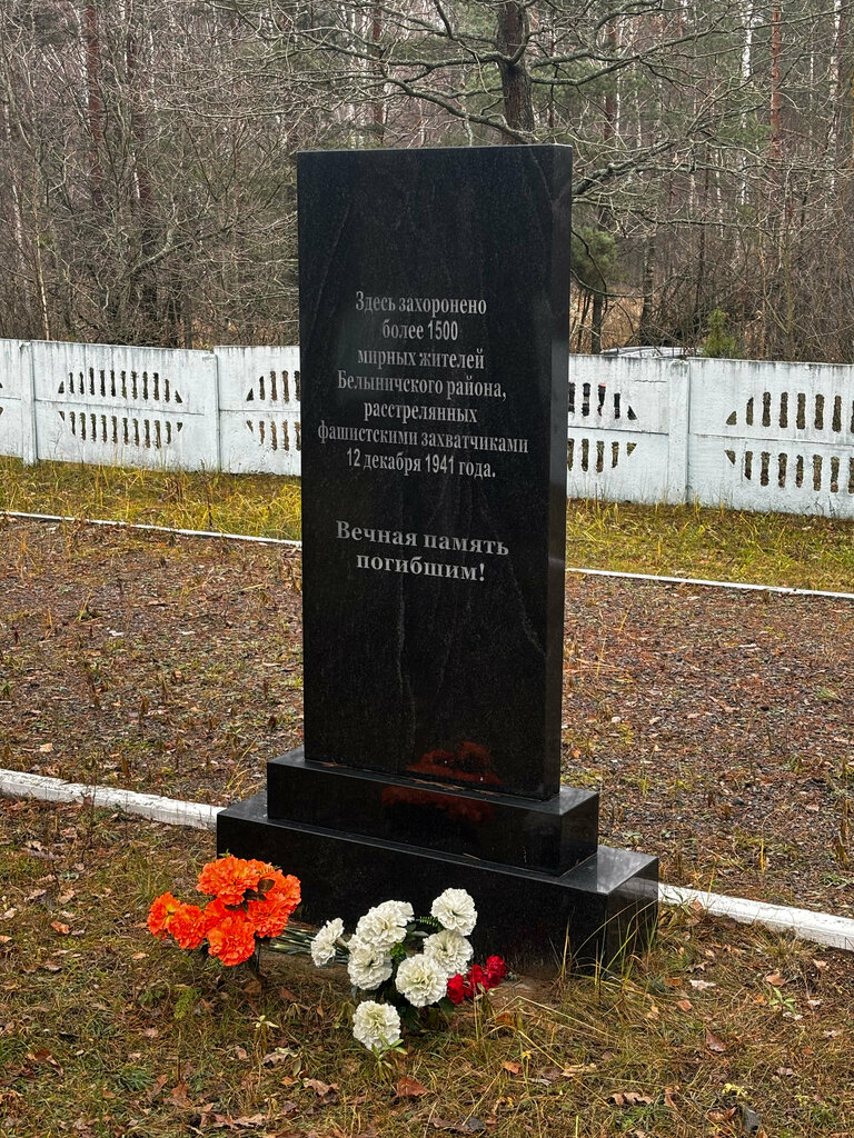 Anıt, heykel Мемориальный комплекс памятник евреям, расстрелянным во время ВОВ, Mogiliovskaya oblastı, foto