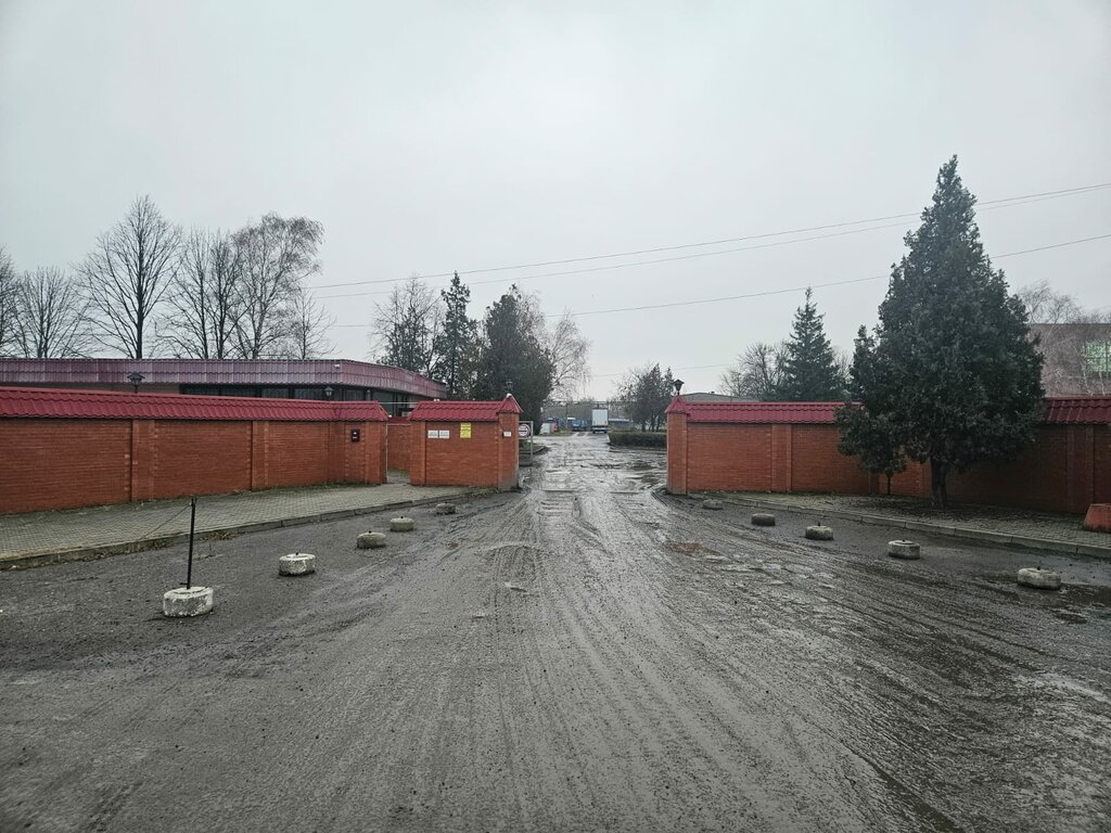 Oto elektrik tamiri Автоэлектрик, Bataysk, foto