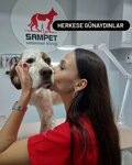 Sampet Veteriner Kliniği (Samsun, Atakum, Atatürk 3. Kısım Bul., 8AA), veteriner klinikleri  Atakum'dan