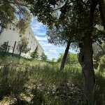 Özlü Tekstil (İzmir, Bornova, Kemalpaşa Mah., 7401 Sok., 5), sanayi kuruluşu  İzmir'den