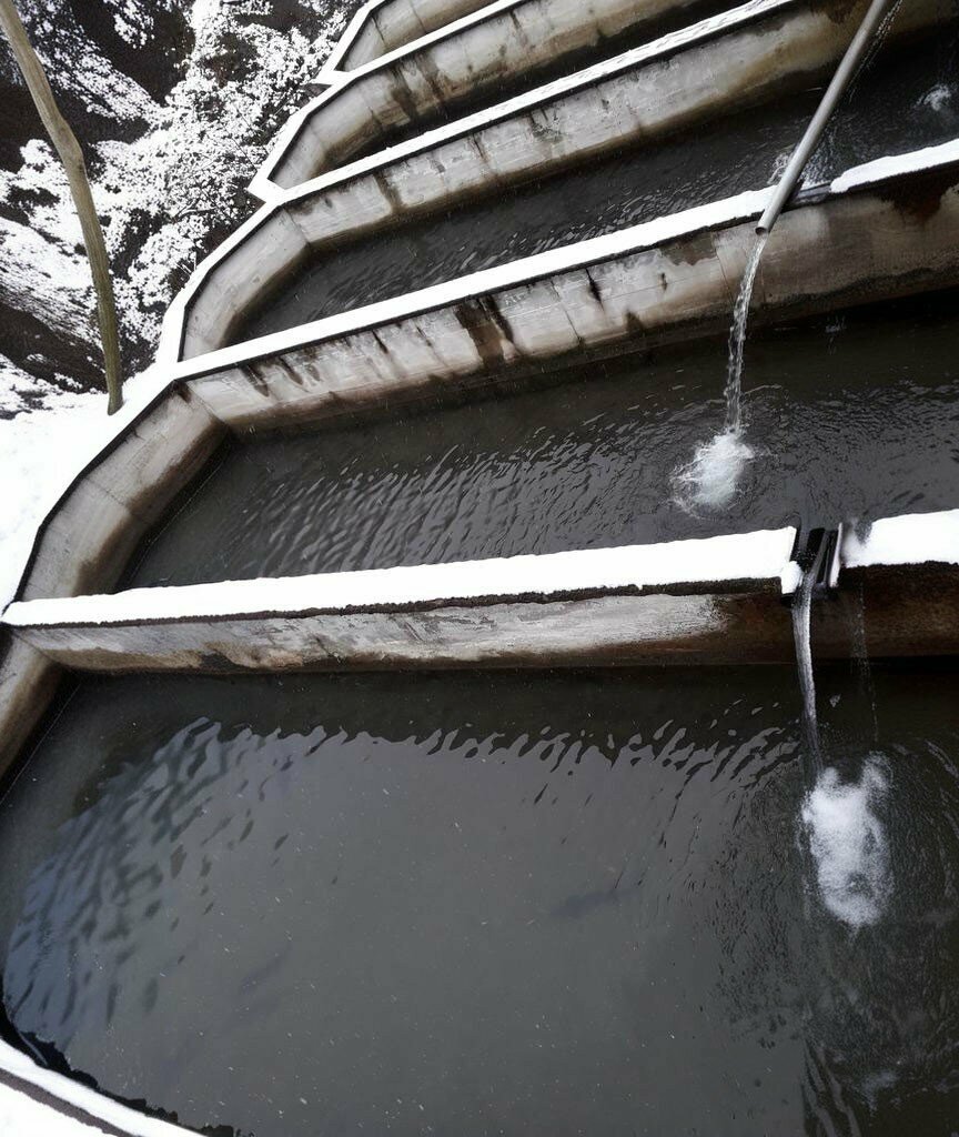 Balık çiftçiliği ve toptancıları Gürpınar Alabalık Tesisi, Of, foto