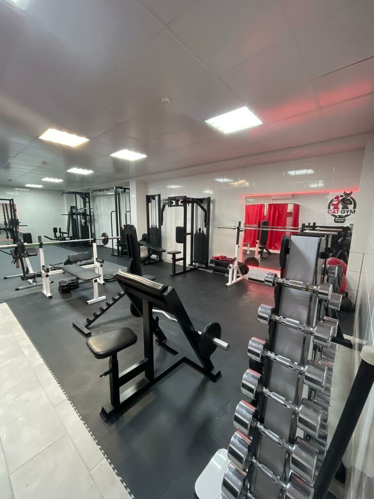 Fitness kulüpleri Cat Gym, Soçi, foto