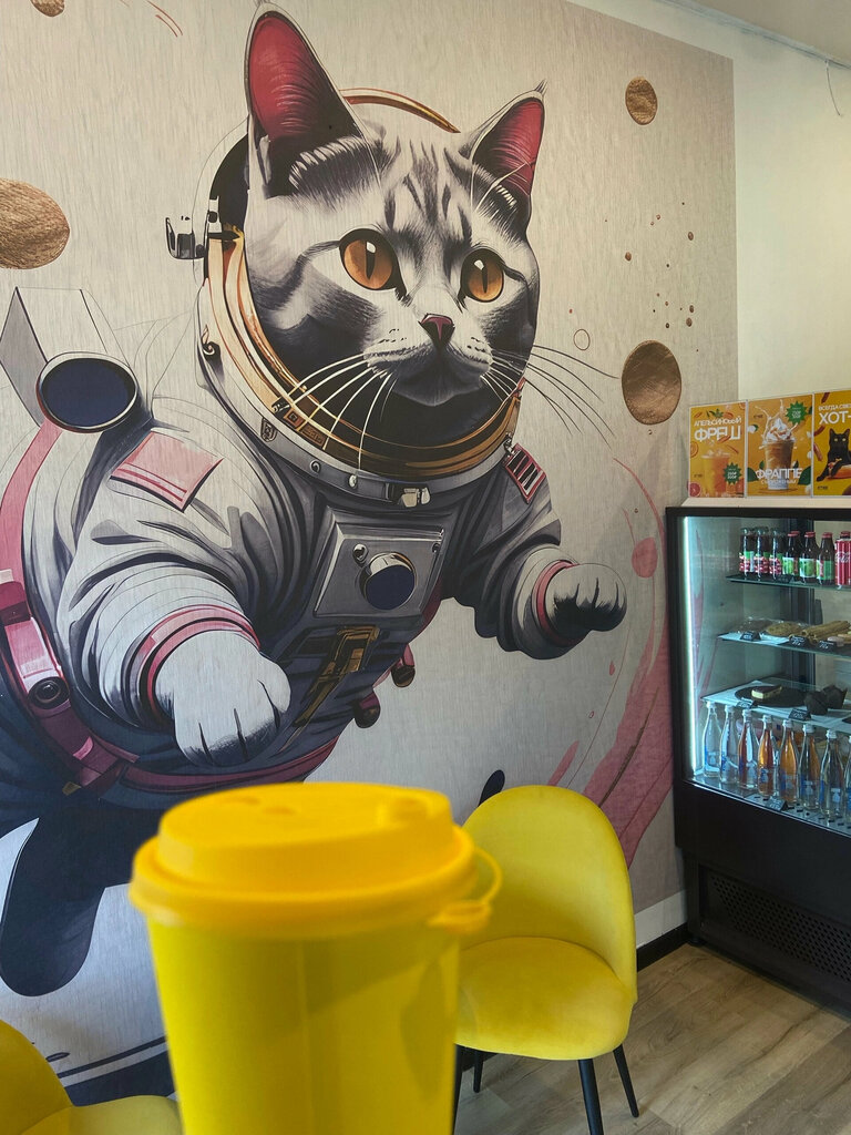 Kahve dükkanları КофеКот, Krasnodarski krayı, foto