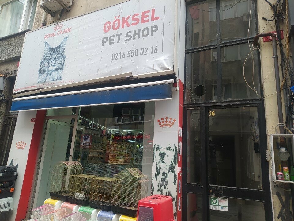 Petshop Göksel Pet Shop, İstanbul, foto