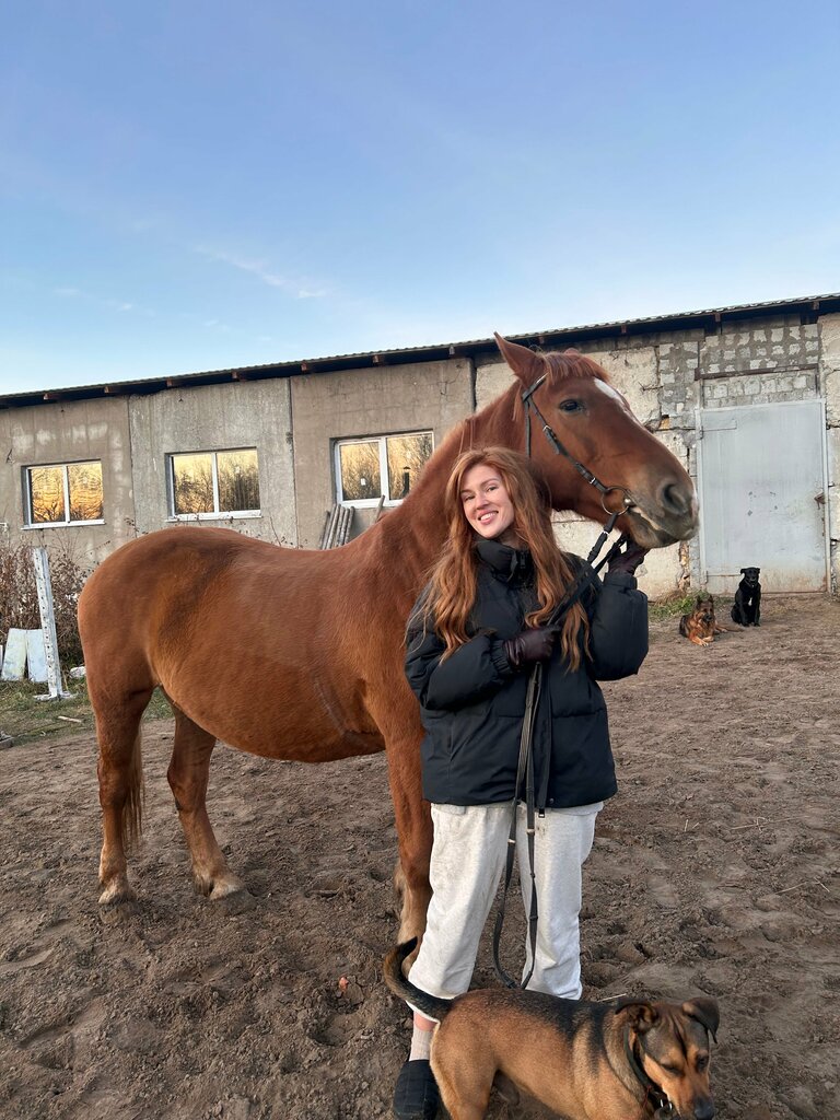 At ve binicilik kulüpleri Roo Ksk Ricgiai Kone, Saint‑Petersburg ve Leningradskaya oblastı, foto