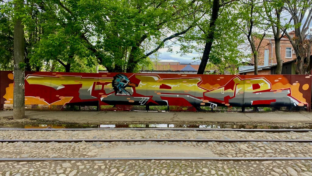 Sokak sanatı Граффити Torb Athletic Ducks, Krasnodar, foto