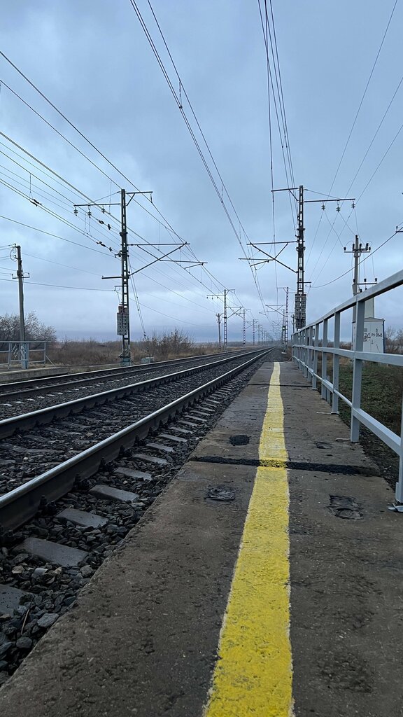 Tren istasyonu остановочный пункт 2493 км, Makuşino, foto