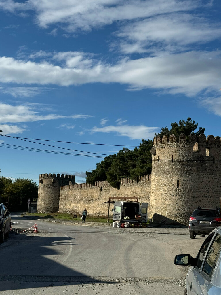 Turistik yerler Mukhrani castle and fence, , foto