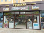 Гурман (Federal Territory of Sirius, mikrorayon Yuzhnyye Kultury), çay mağazaları  Krasnodarski krayından