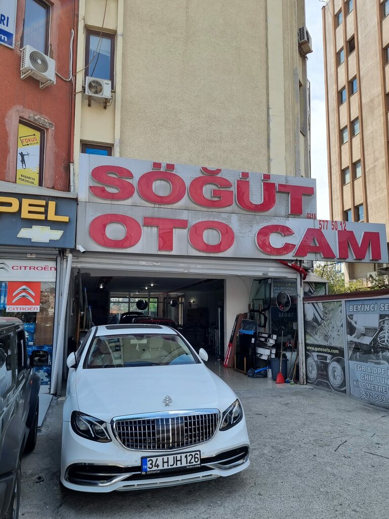 Otomobil camları Söğüt Oto Cam Bostancı Sanayi, İstanbul, foto