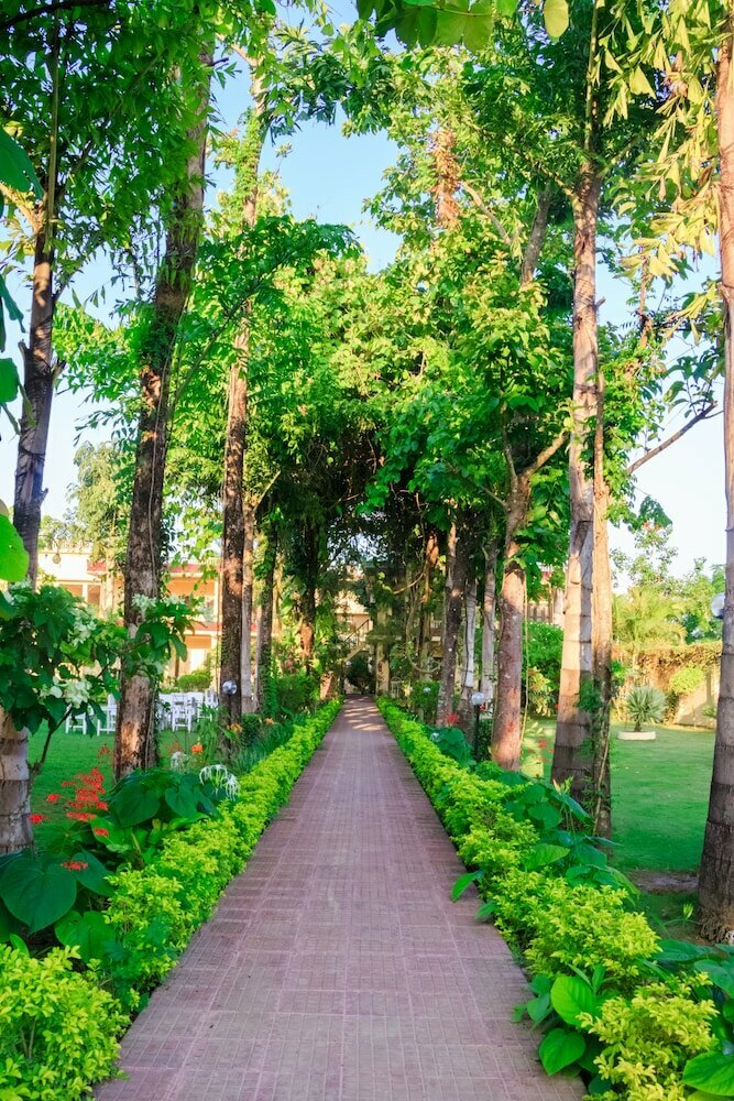 Otel Hotel Rainforest, , foto