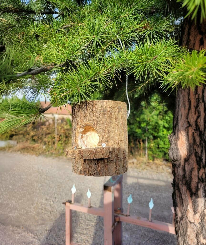 Muhtarlıklar İnziloğlu Köy Muhtarlığı, Keskin, foto