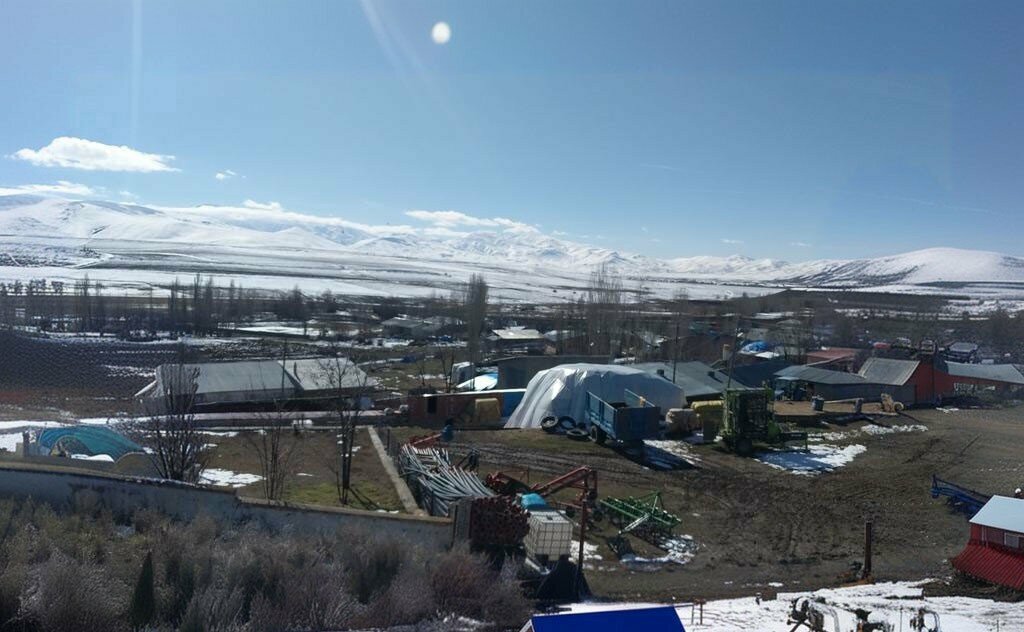 Muhtarlıklar Bağpınar Köy Muhtarlığı, Tercan, foto