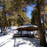 Derekemal Köy Muhtarlığı (Derekemal Köyü Çayıralan Yozgat), muhtarlıklar  Çayıralan'dan