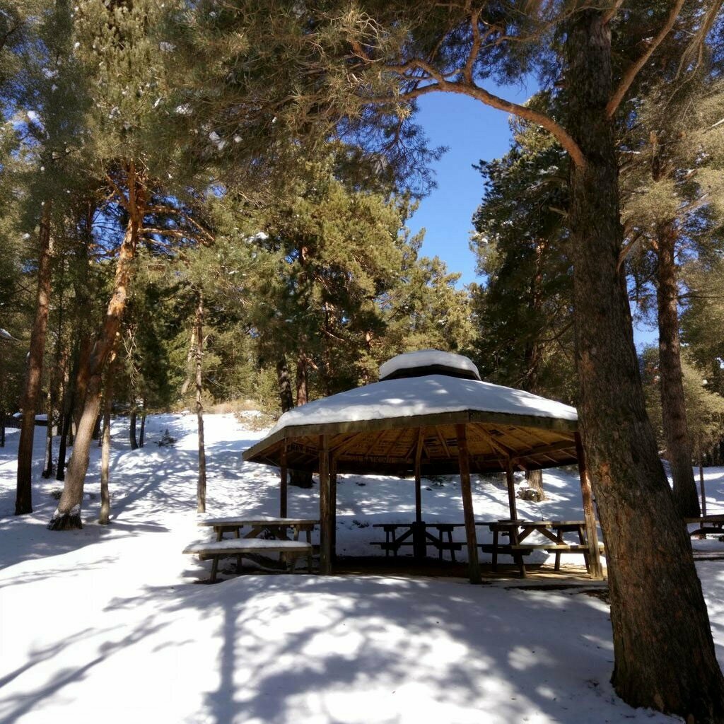 Muhtarlıklar Derekemal Köy Muhtarlığı, Çayıralan, foto