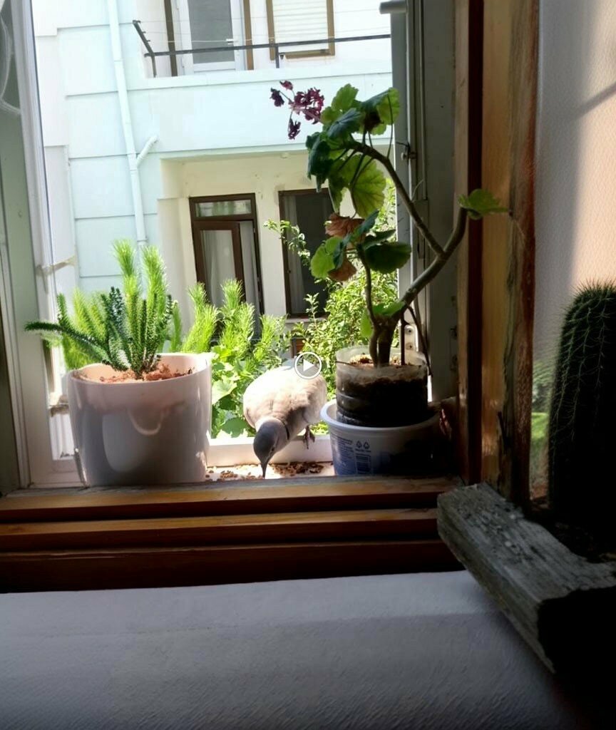 Alışveriş merkezleri GiRiTLi AV, Edremit, foto