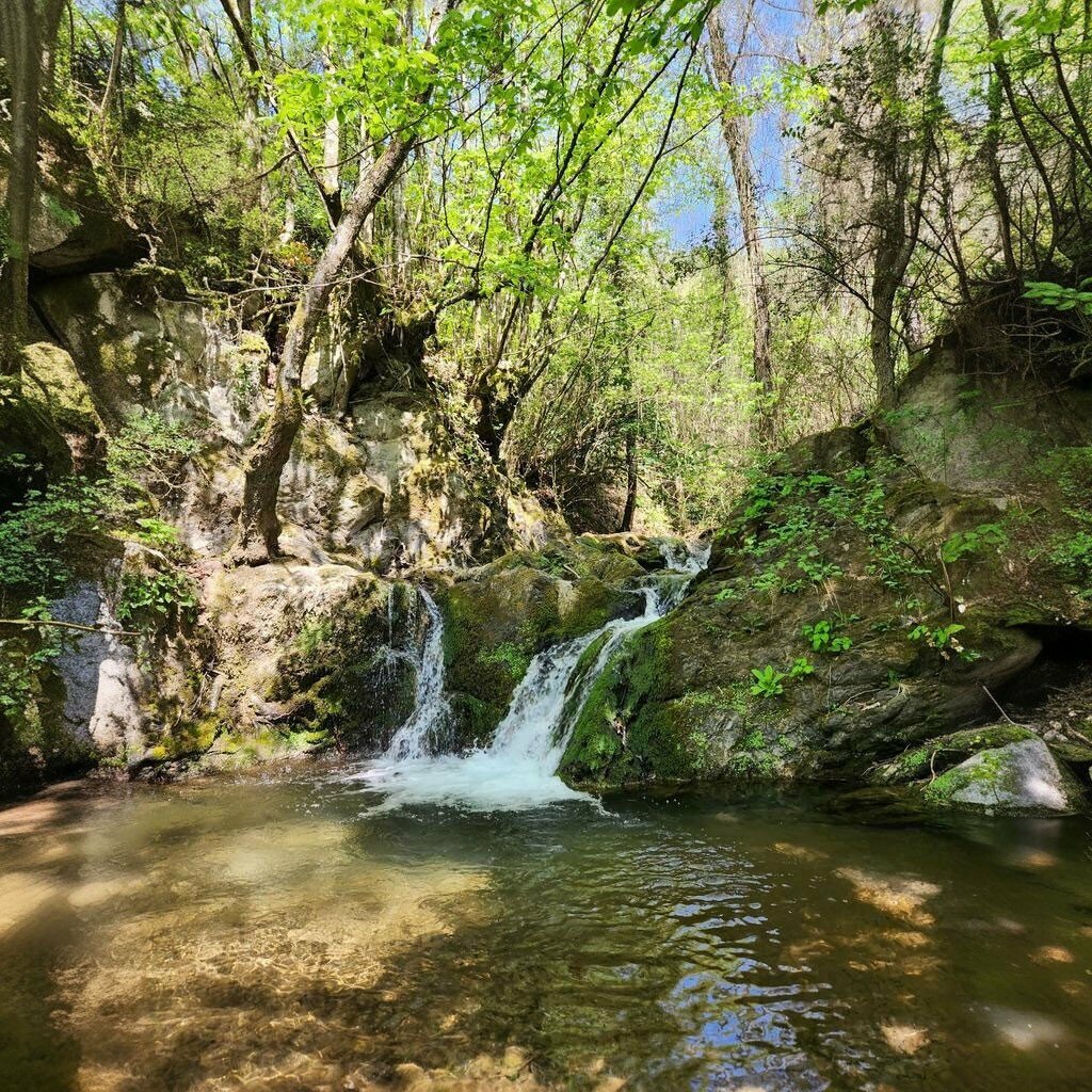Orman Kocaeli Kent Ormanı, İzmit, foto