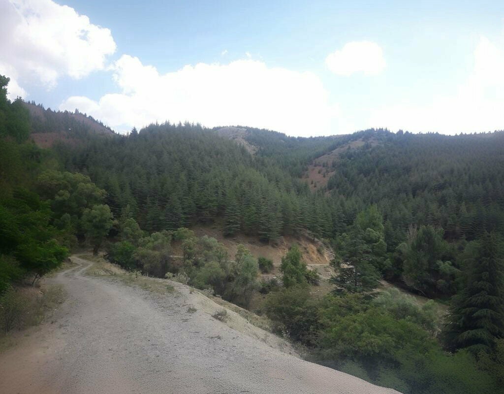 Muhtarlıklar Hisarardı Köy Muhtarlığı, Yalvaç, foto