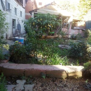 Kültür ve eğlence parkları Savaş Dönmez Parkı, Gölpazarı, foto