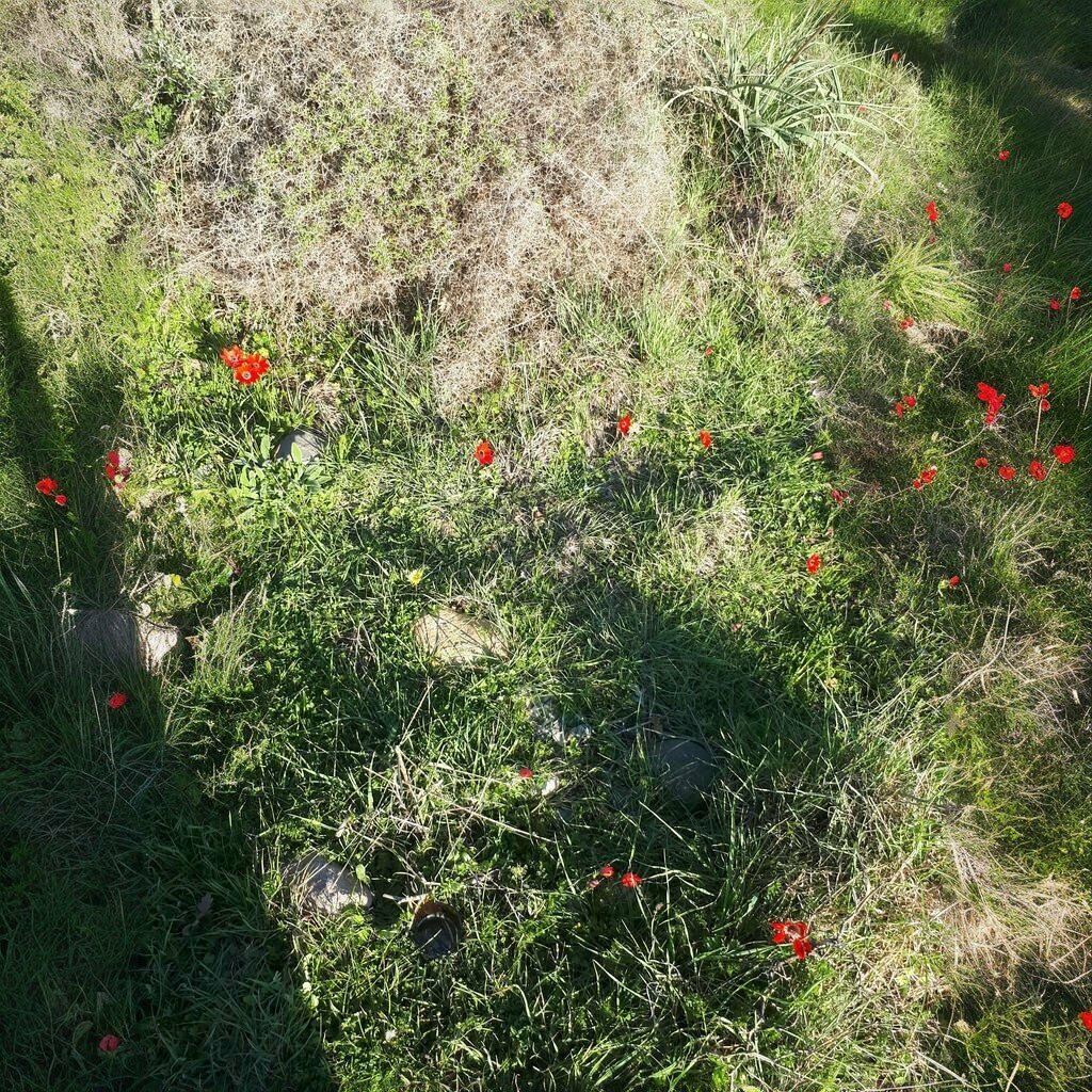 Muhtarlıklar Karagömlek Köy Muhtarlığı, Ezine, foto