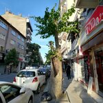 Salı Pazarı (Süleyman Bey Mahallesi, İstanbul Cd. No:33, 77100 Yalova Merkez/Yalova), mini-market  Yalova'dan