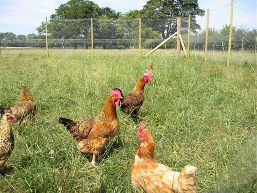 Otel Whashton Springs Farm, Kuzey Yorkshire County, foto