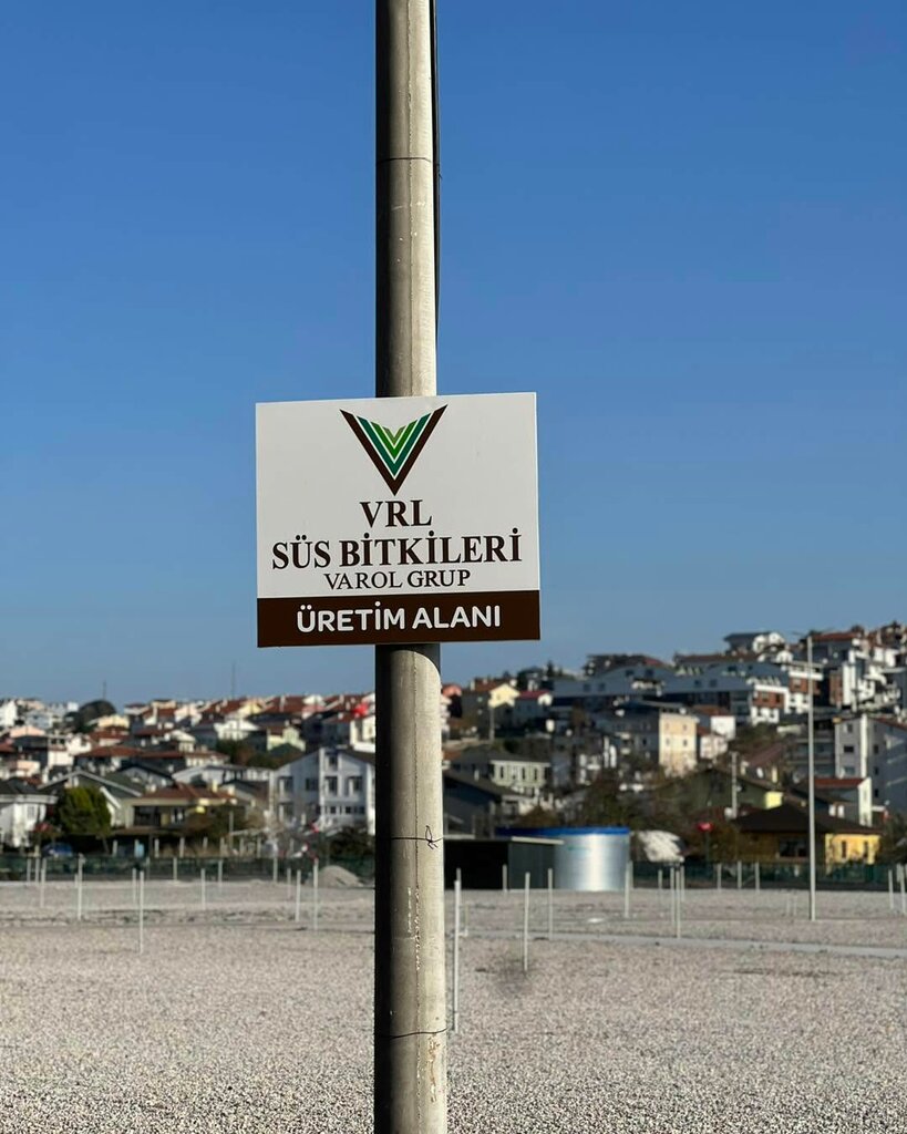 Fidan yetiştiriciliği Vrl Süs Bitkileri Sanayi Ve Ticaret Limited Şirketi, Yalova, foto