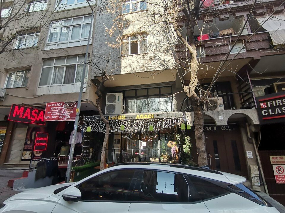 Kafe Limon Ağacı, İstanbul, foto