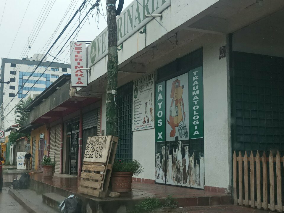 Veteriner klinikleri Clínica Veterinaria Agronutrivet, Santa‑Krus, foto