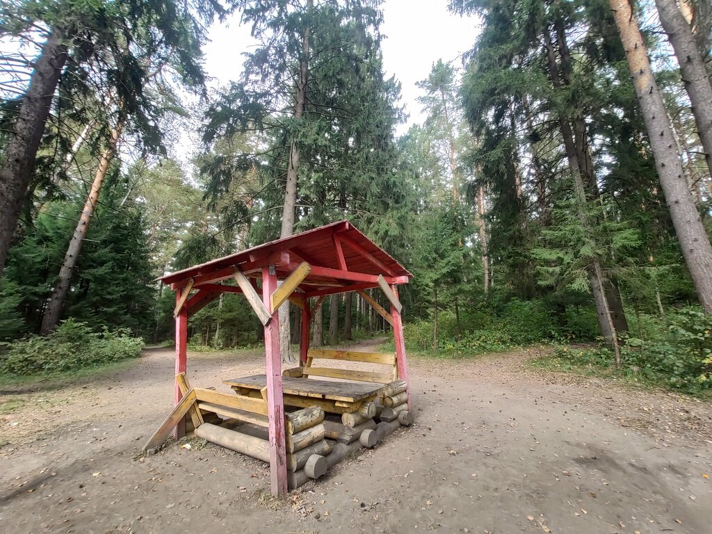 Piknik alanı Место для пикника, Moskova ve Moskovskaya oblastı, foto