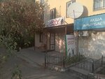 Dog (No:12, 10A shaǵyn aýdany), petshop  Almatı'dan