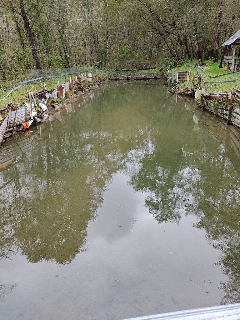 Resort oteller, tesisler Домик Ильича, Krasnodarski krayı, foto