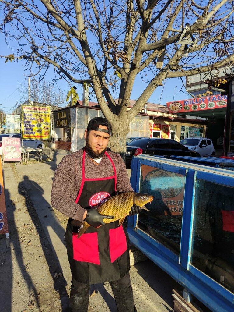 Balık ve deniz ürünleri Baliq Toshnur Dovron, Taşkent eyaleti, foto