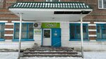 Beryozka (Pavlodar oblysy, Aqsý, Aqsý kenti), manavlar  Aksu'dan