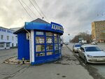 Цветы и подарки (Udmurtian Republic, Izhevsk, Promyshlennaya Street), çiçekçiler  Izhevsk'ten