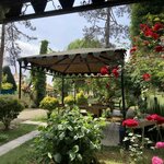 Bizim Bahçe Anadolu Restaurant (Düzce, Düzce Merkez, Kara Hacımusa Mah., TOKİ Memur Sen Konutları, 7A), restoran  Düzce'den