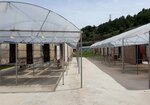 Aykan & Özen Halı Yıkama Fabrikası (Amasya, Amasya Merkez , Karaca Sok., 39), halı yıkamacılar  Amasya'dan