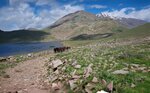 Saddle Ranch Horseback Riding Turkey (Mustafapaşa Köyü, Davutlu Mevkii, Ürgüp, Nevşehir), at ve binicilik kulüpleri  Ürgüp'ten