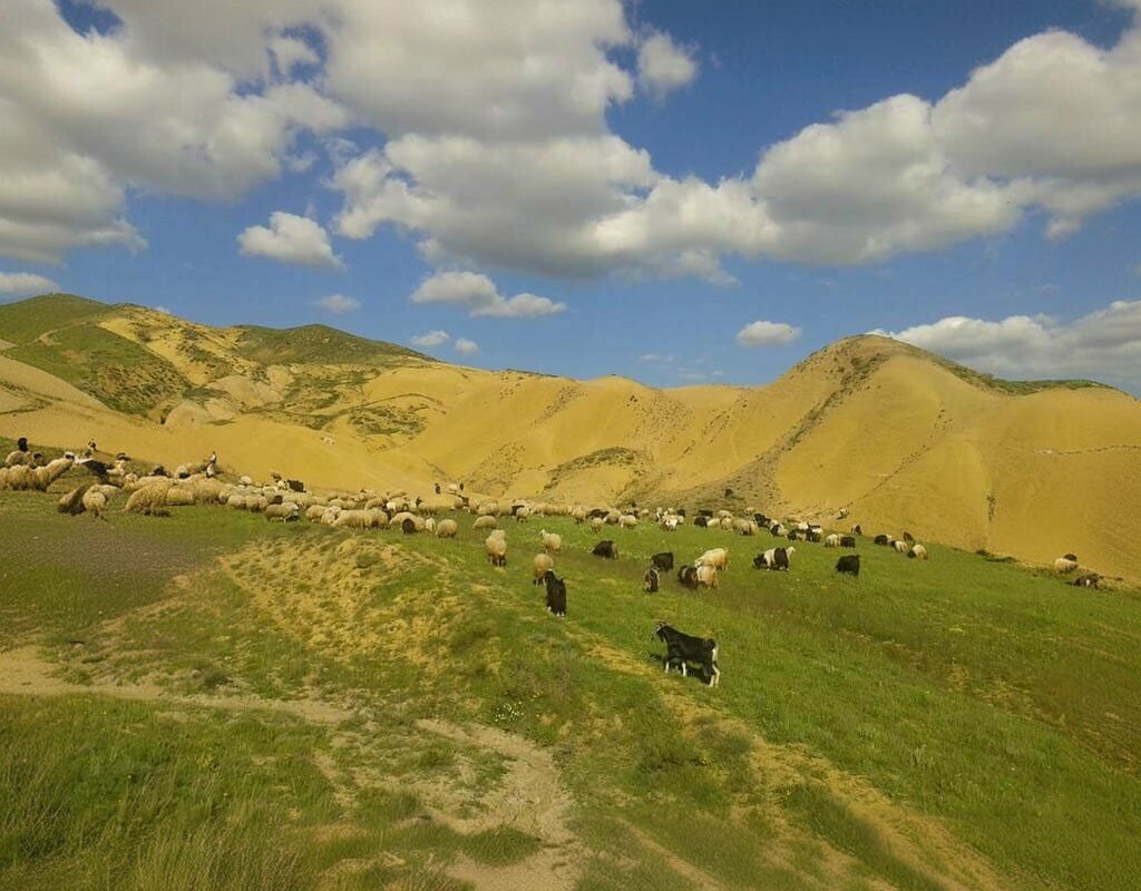 Muhtarlıklar Kayadibi Bucak Merkezi Muhtarlığı, Yerköy, foto