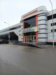 Цветы (Pobedy Avenue No:99), çiçekçiler  Penza'dan