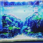 Pet&Flora (Ilıca Mahallesi, Mithatpaşa Caddesi, No:19, Narlıdere, İzmir), petshop  İzmir'den
