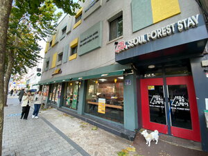 Seoul Forest Stay (Seoul, Liniya 9, Express Bus Terminal metro station), pansiyonlar, hosteller  Seul'dan